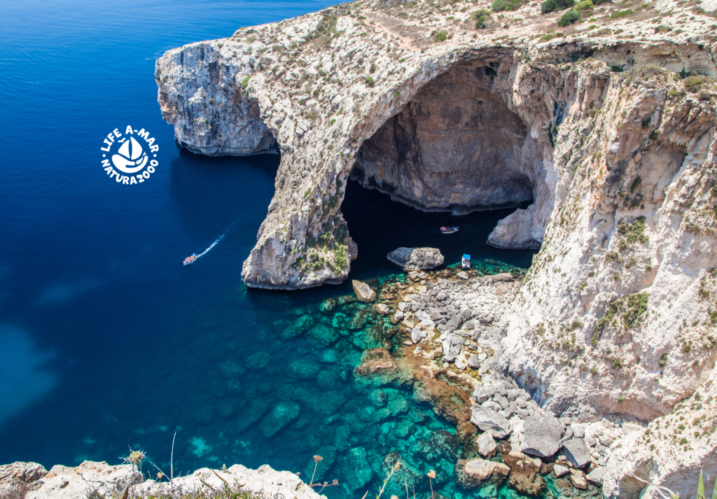 The LIFE A-MAR NATURA2000 Project stops in Malta - LIFE A-MAR